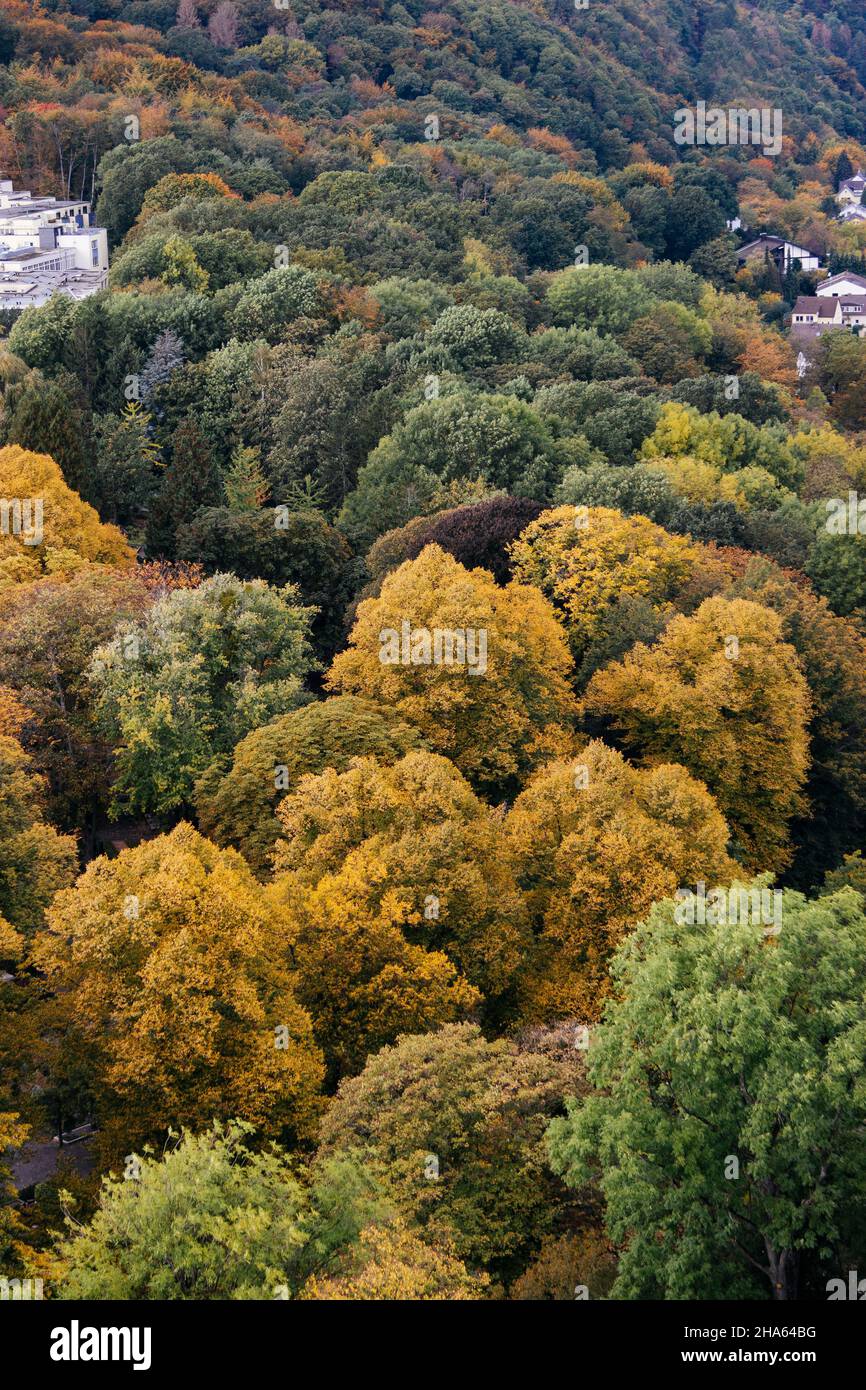 Wald in bad godesberg -Fotos und -Bildmaterial in hoher Auflösung – Alamy