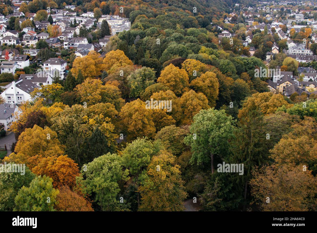 Wald in bad godesberg -Fotos und -Bildmaterial in hoher Auflösung – Alamy