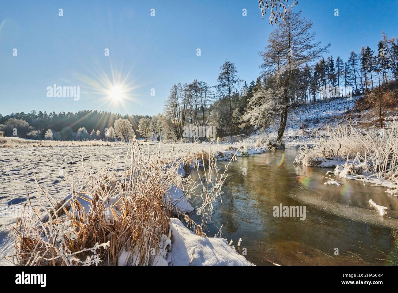 Naturpark front bayersicher wald -Fotos und -Bildmaterial in hoher ...