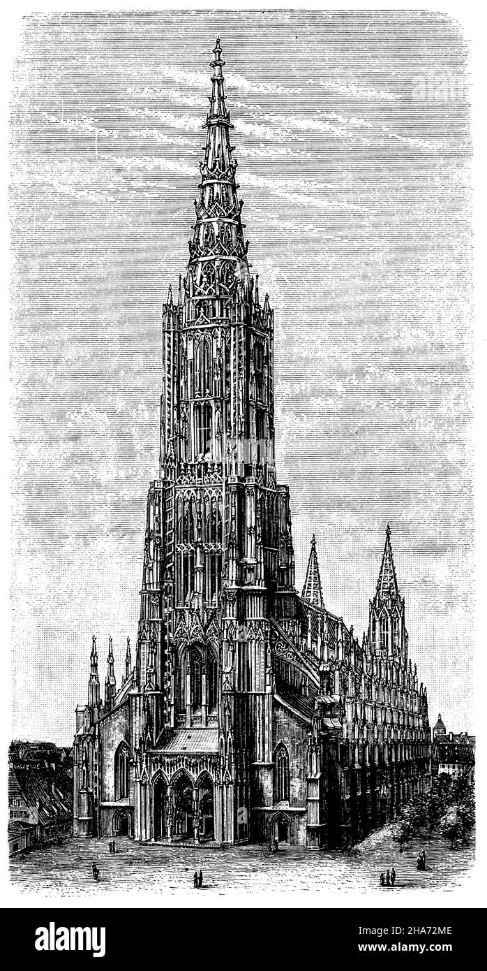 Ulmer münster holz -Fotos und -Bildmaterial in hoher Auflösung – Alamy
