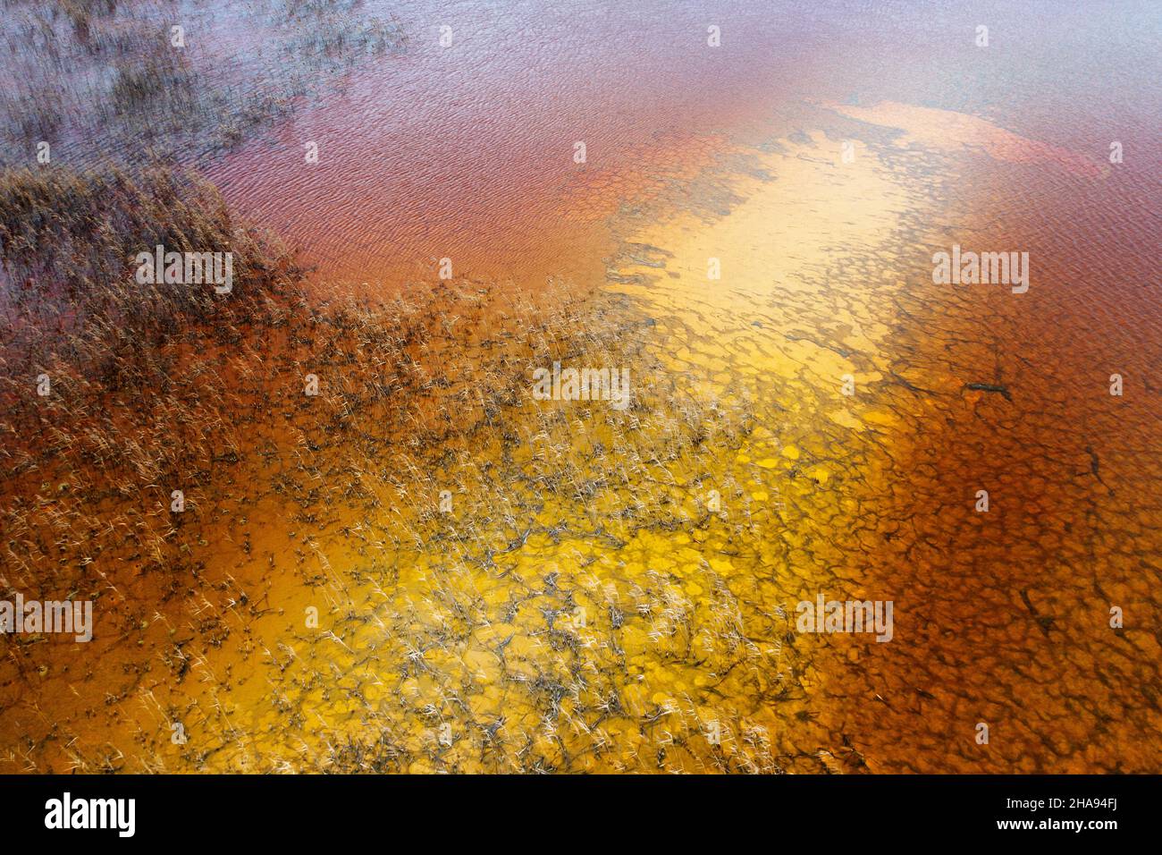 Abbau von Erzen verschiedener Metalle. Rotes toxisches Wasser im ...