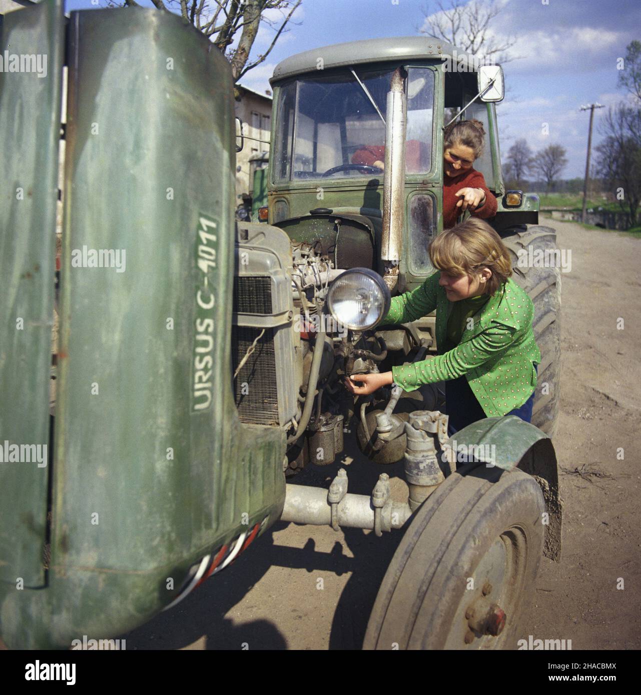 Ursus c 4011 Stockfotos und -bilder Kaufen - Alamy