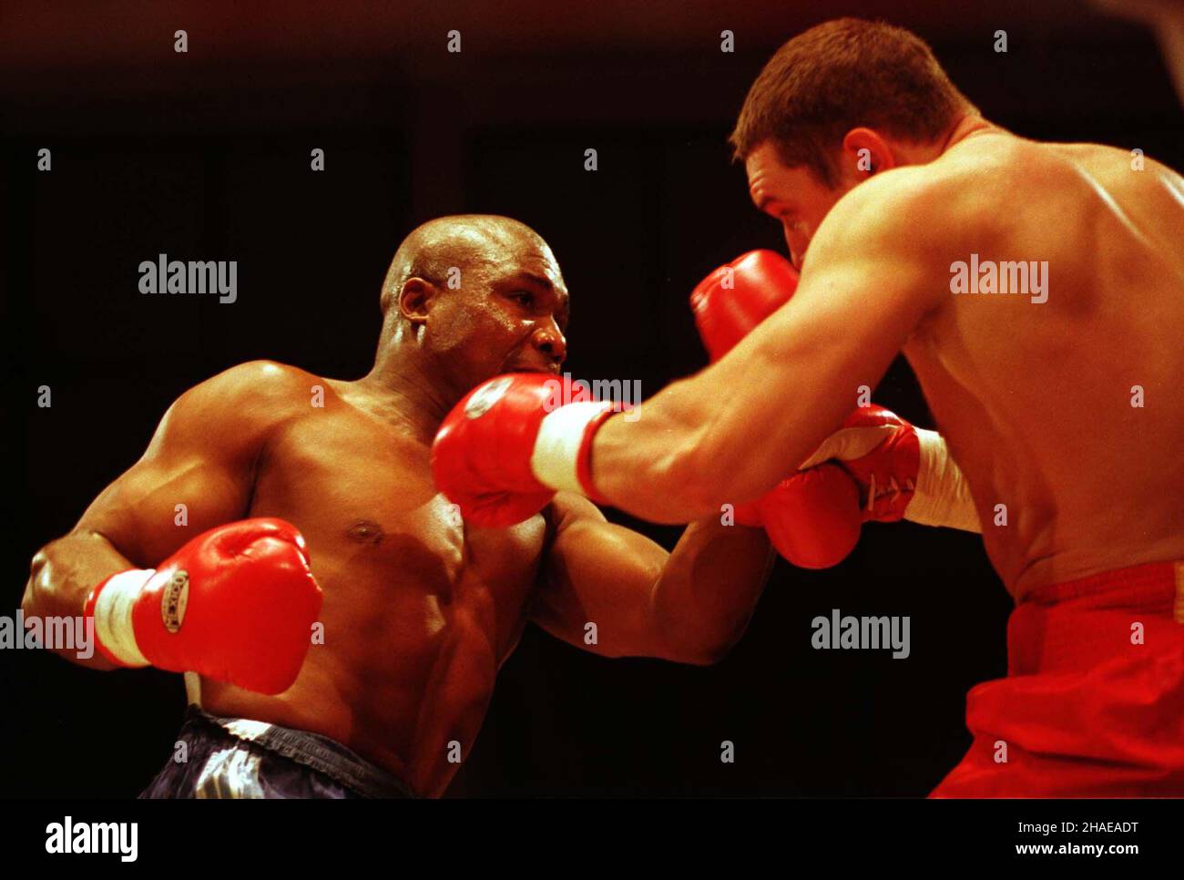 Polnischer boxer -Fotos und -Bildmaterial in hoher Auflösung – Alamy