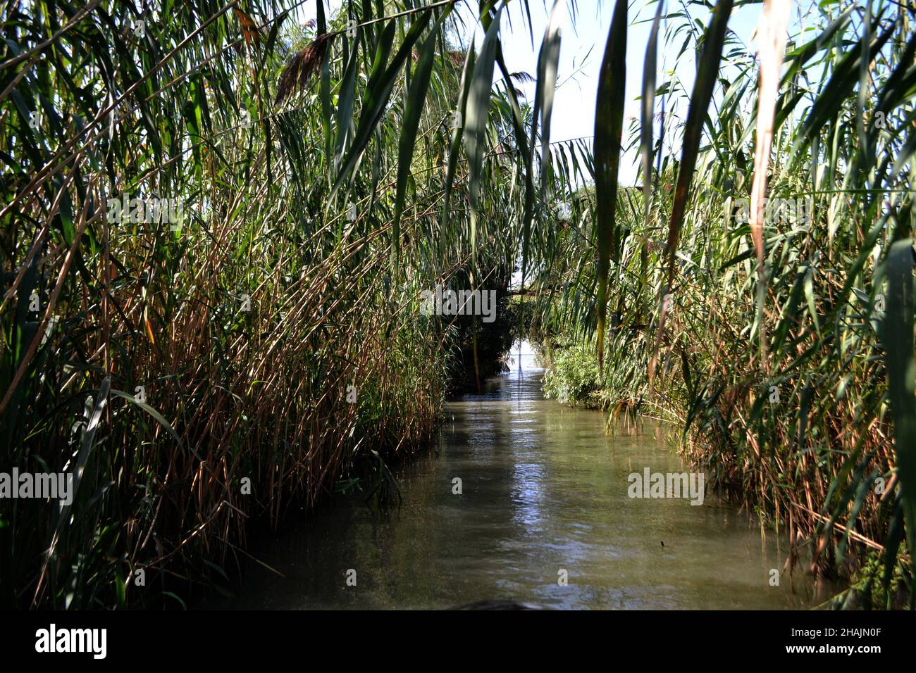 Escursioni in romania -Fotos und -Bildmaterial in hoher Auflösung – Alamy