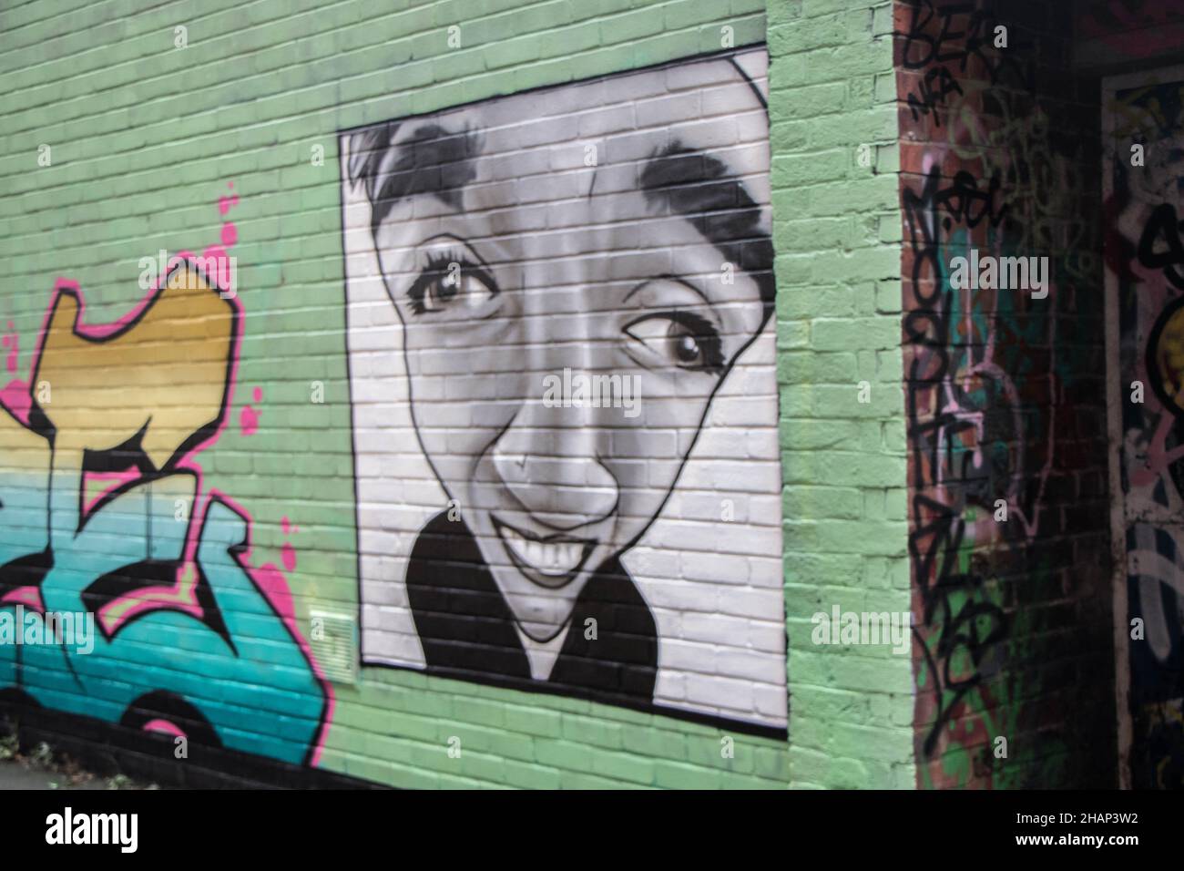 Francis Bourgeois Street Art in Brighton Train Spotter und Tik Tok Star ...