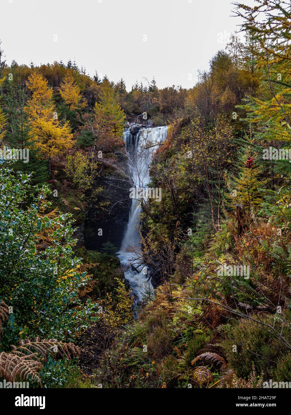 Auftrag von königin victoria -Fotos und -Bildmaterial in hoher ...