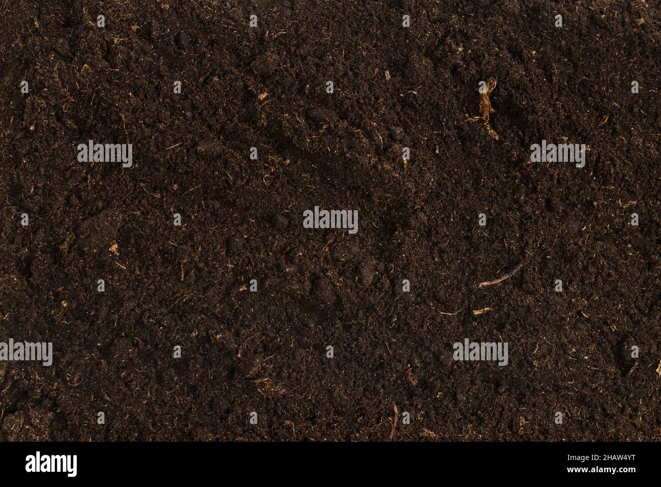 Humus und boden -Fotos und -Bildmaterial in hoher Auflösung – Alamy