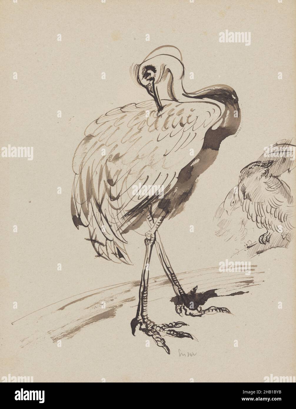 Storch zeichnung -Fotos und -Bildmaterial in hoher Auflösung – Alamy