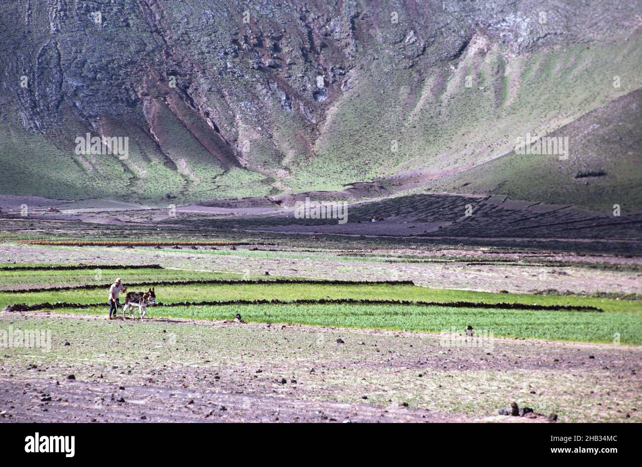 Esel und pflug -Fotos und -Bildmaterial in hoher Auflösung – Alamy
