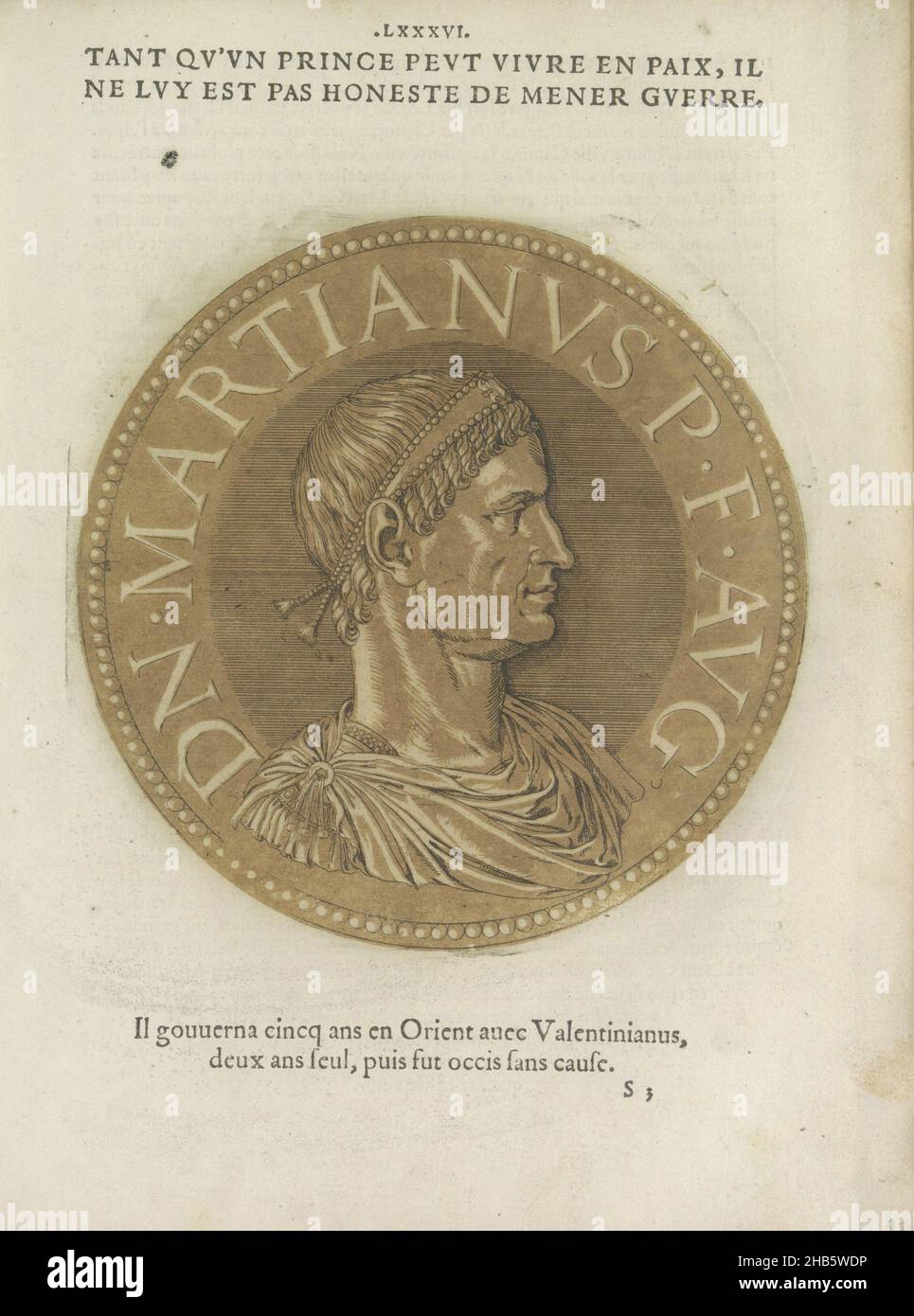 Kaiser marcianus -Fotos und -Bildmaterial in hoher Auflösung – Alamy