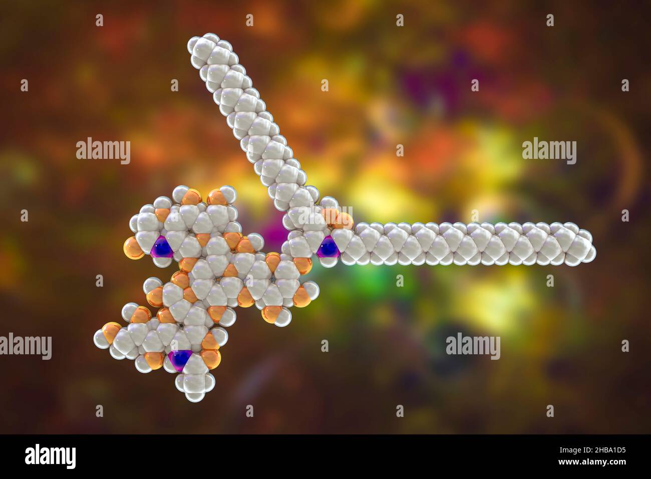 Damit verbundene neuronale anatomie -Fotos und -Bildmaterial in hoher ...