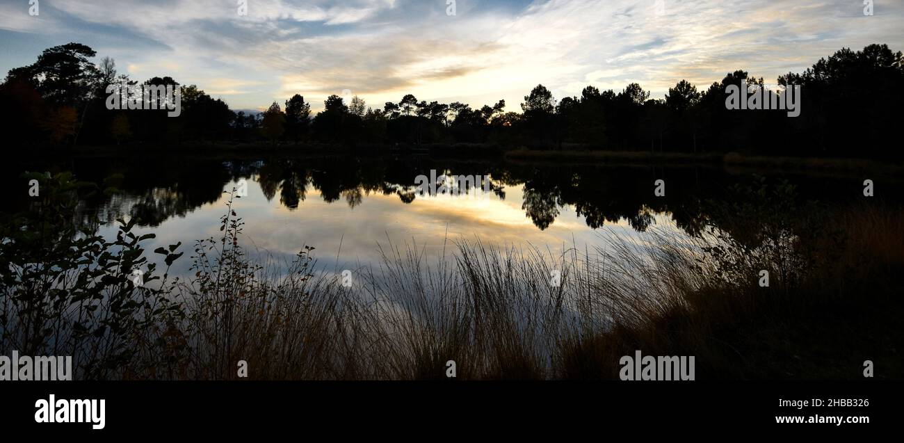 Etang noir -Fotos und -Bildmaterial in hoher Auflösung – Alamy