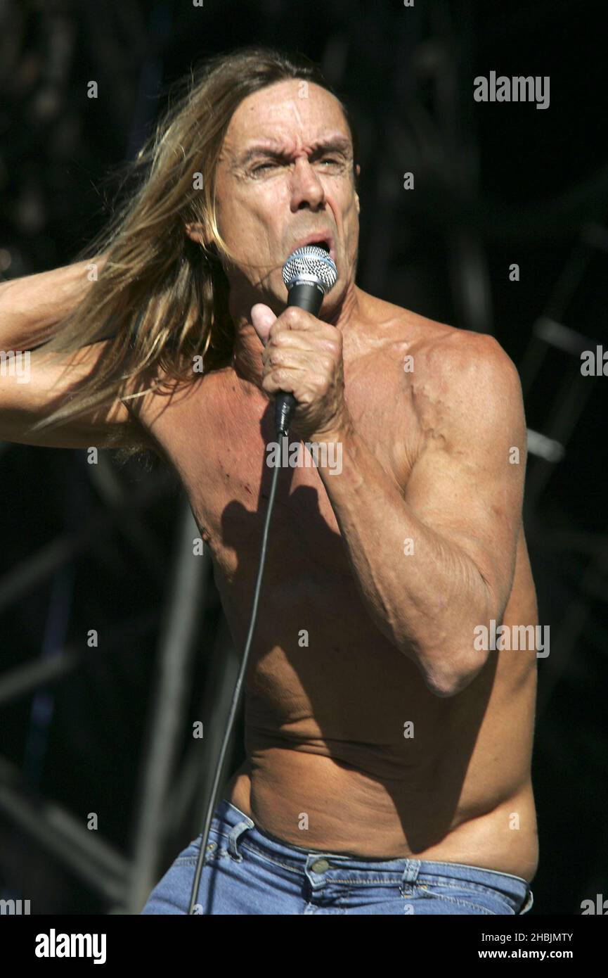 Iggy Pop tritt am dritten und letzten Tag des Carling Weekend Reading ...