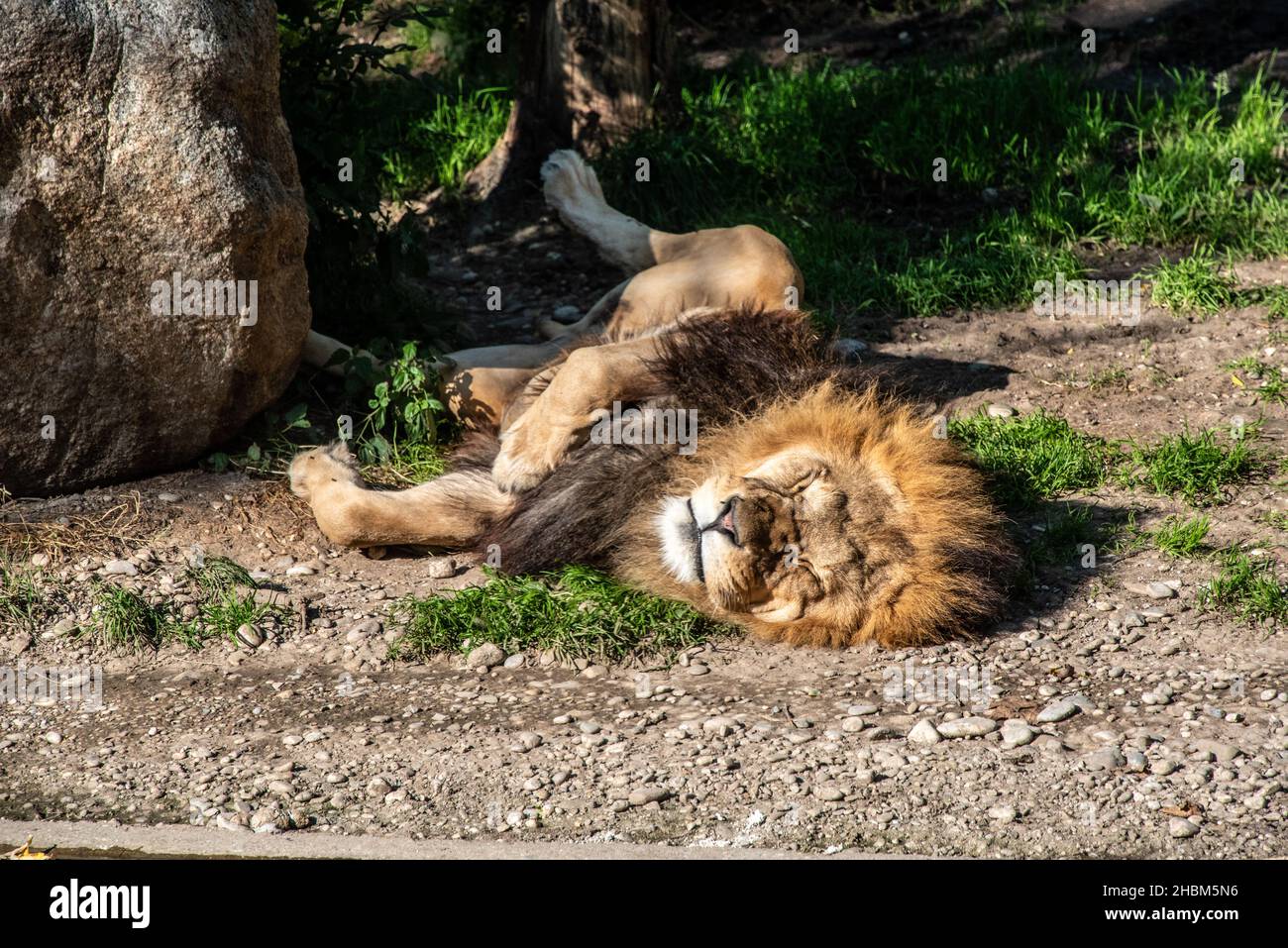 König von hellabrunn -Fotos und -Bildmaterial in hoher Auflösung – Alamy