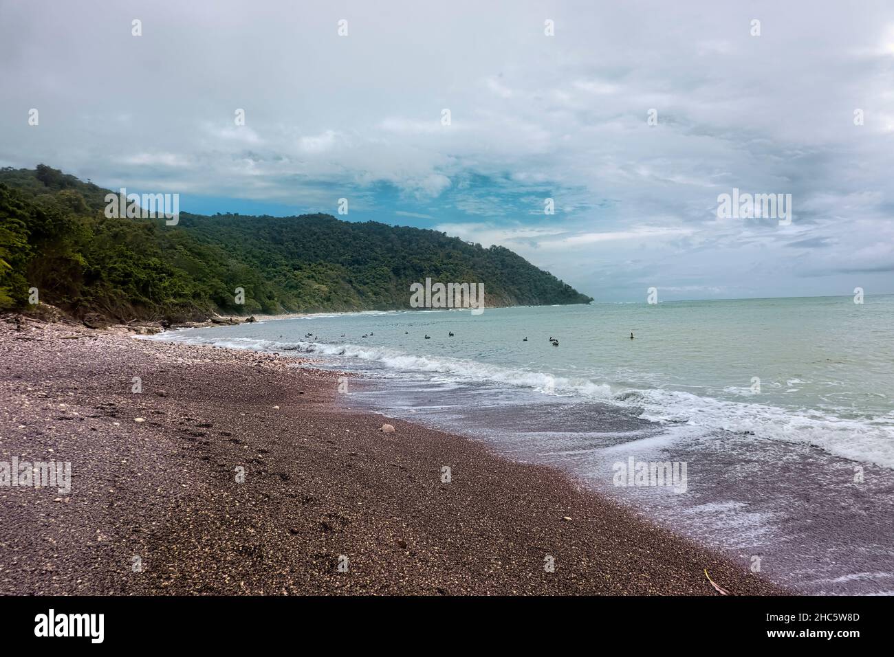 Reserva natural absoluta cabo blanco -Fotos und -Bildmaterial in hoher ...