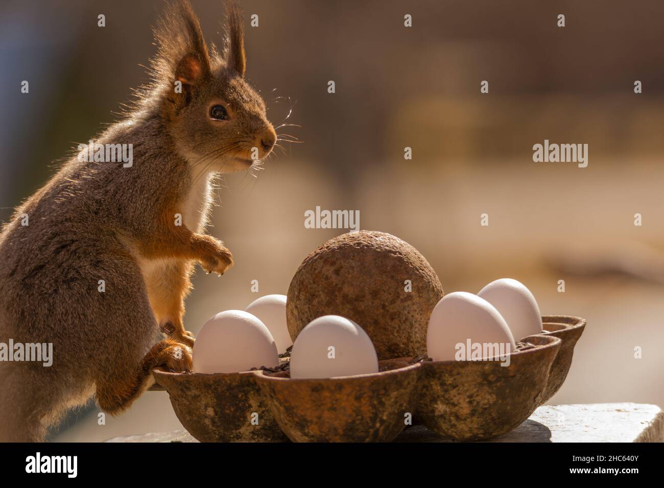 Rostige kugel -Fotos und -Bildmaterial in hoher Auflösung – Alamy
