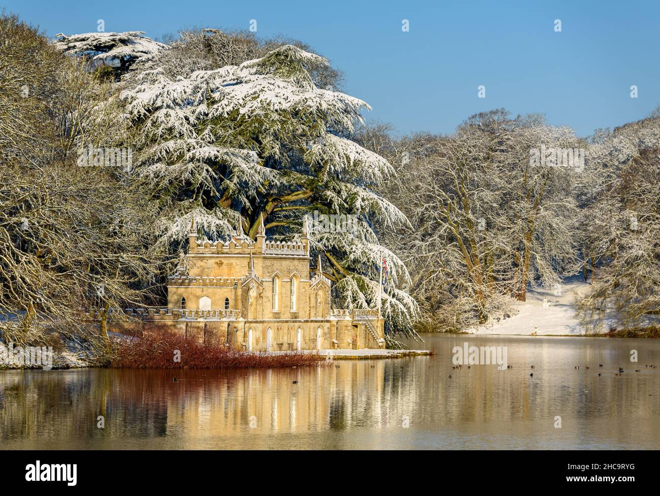 Nico greetham -Fotos und -Bildmaterial in hoher Auflösung – Alamy