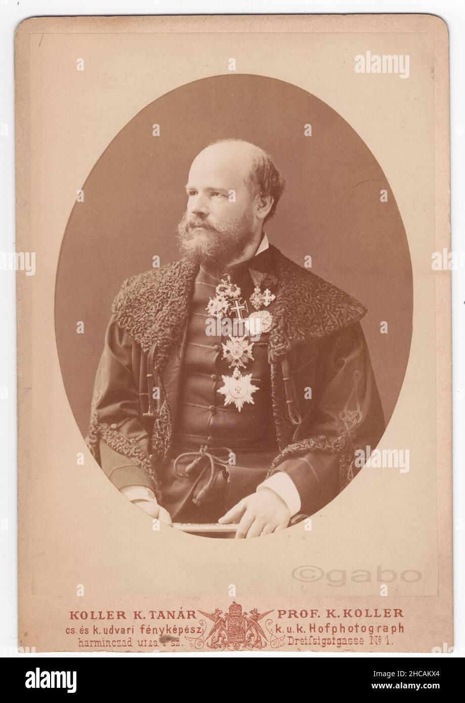 Vintage, retro, alt, Foto, Jahrhundert, Botanik, Grafik, antik ...