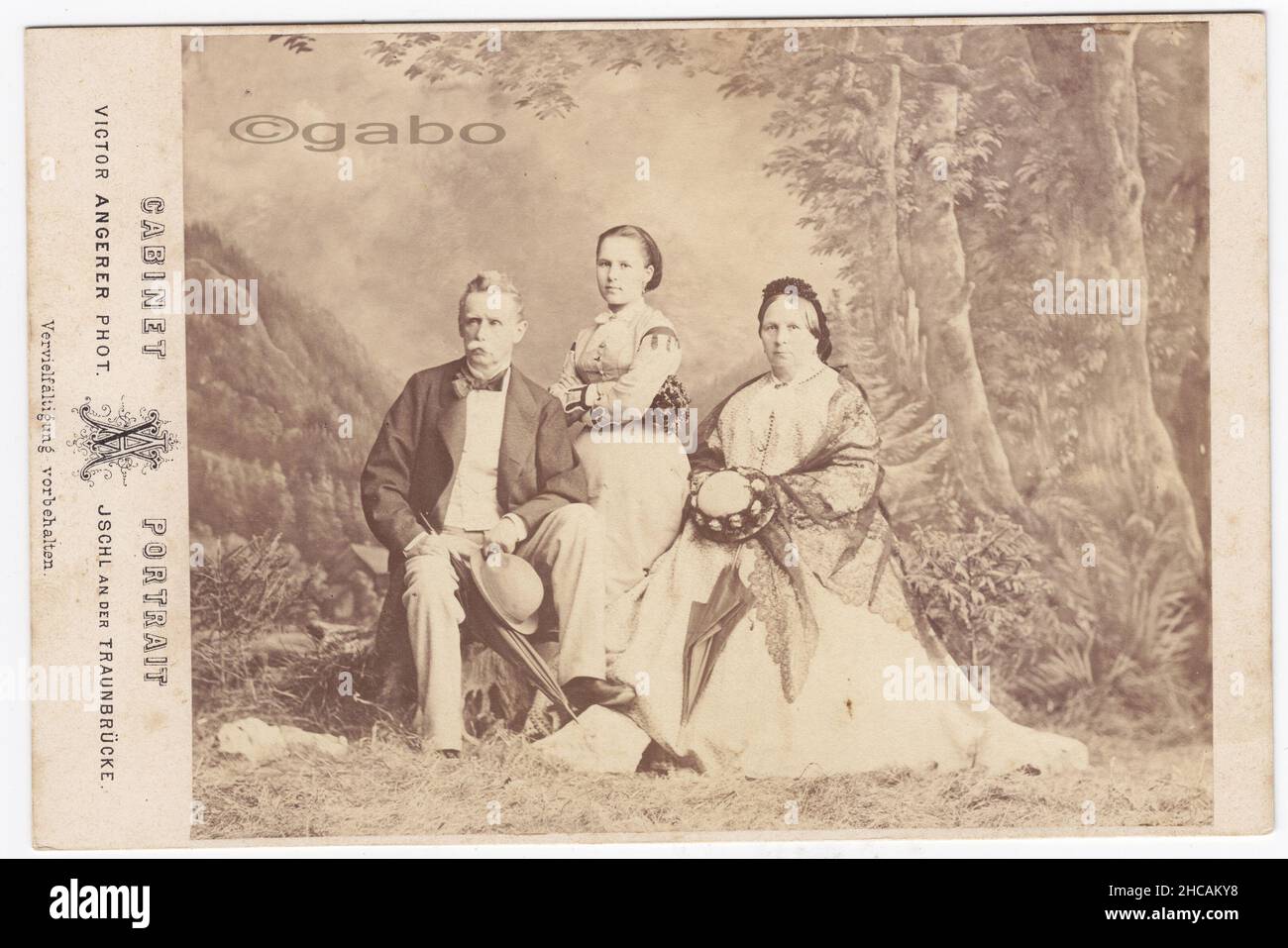 Vintage, retro, alt, Foto, Jahrhundert, Botanik, Grafik, antik ...