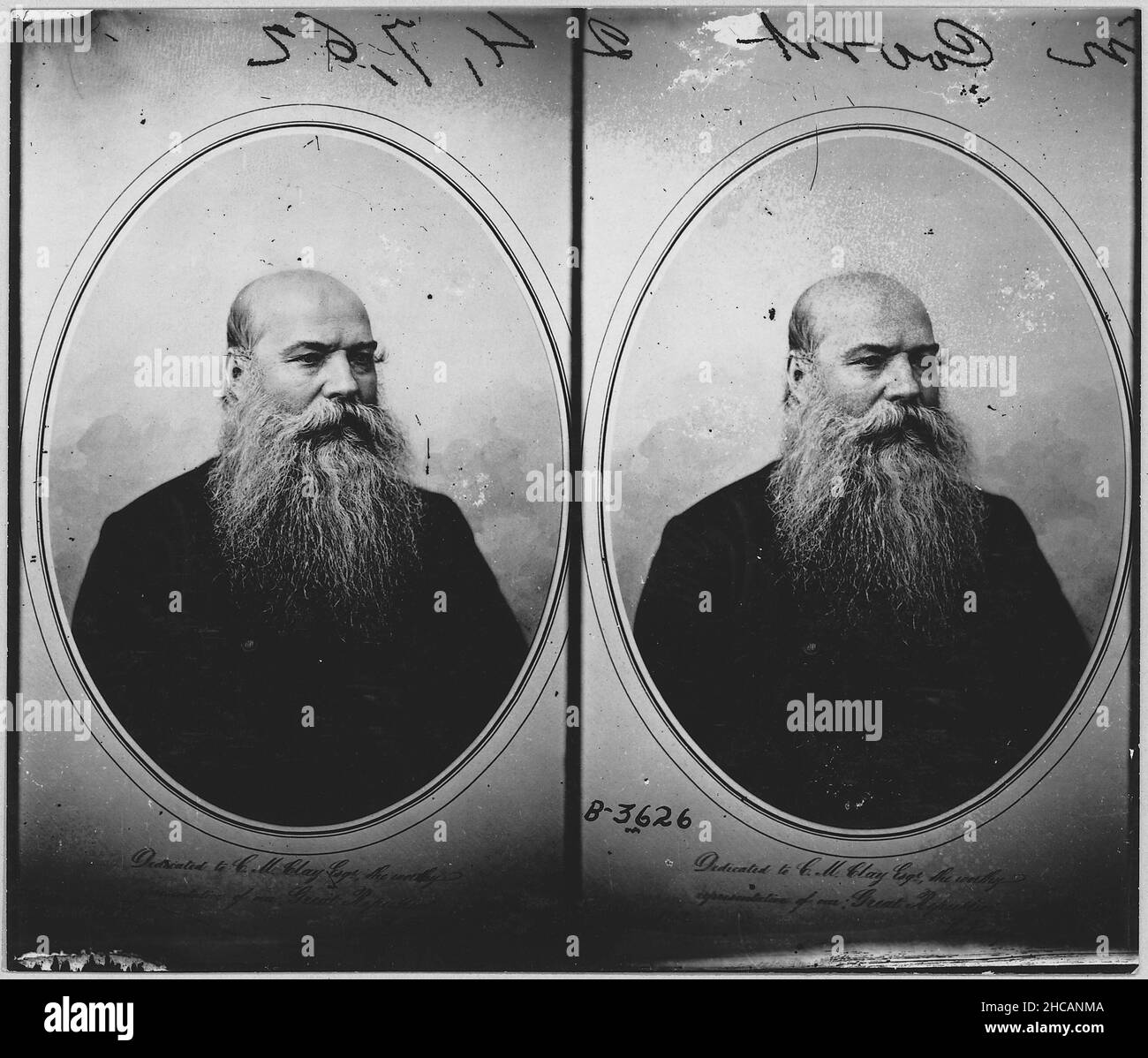 Vintage, retro, alt, Foto, Jahrhundert, Botanik, Grafik, antik ...