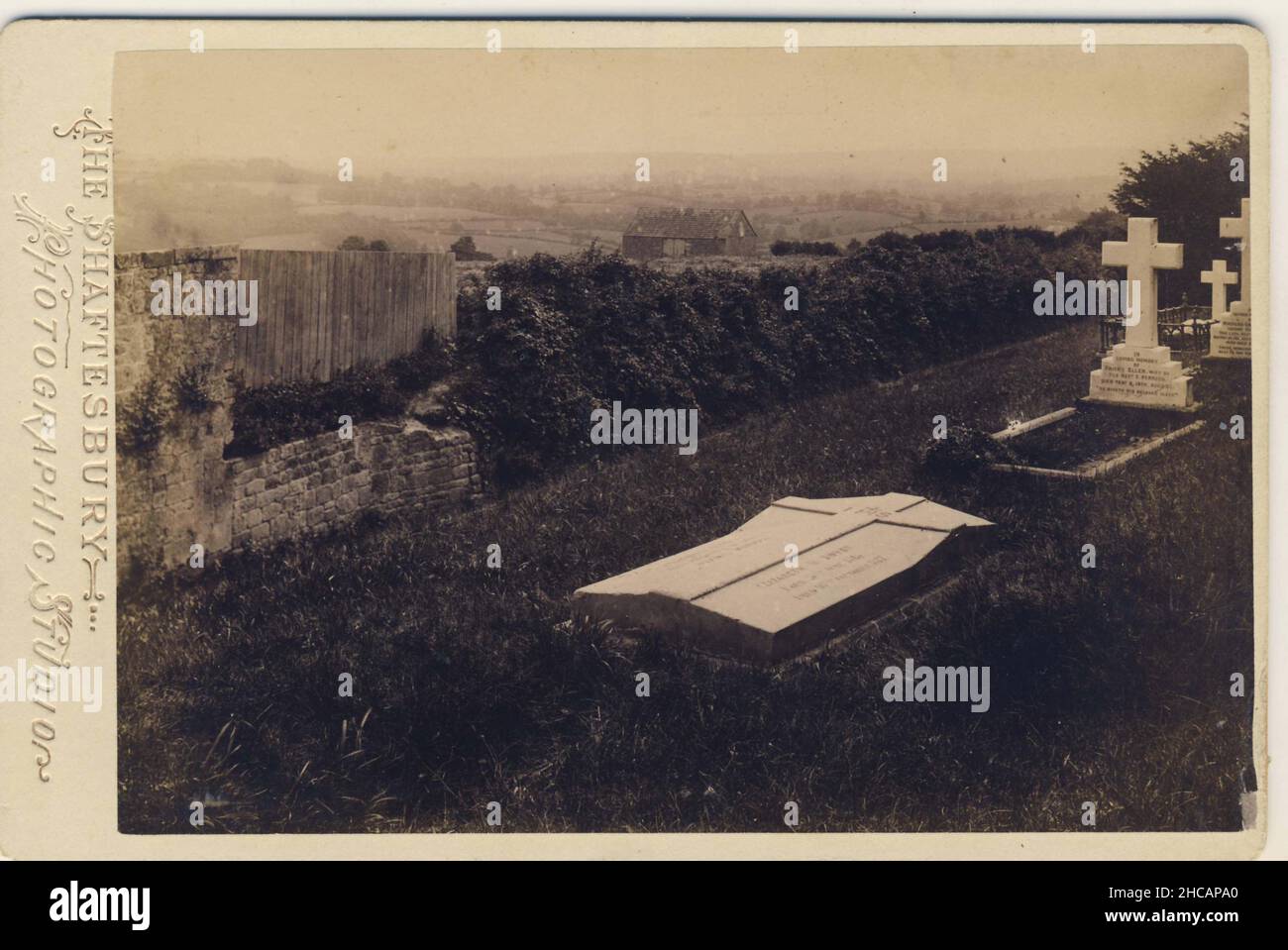 Vintage, retro, alt, Foto, Jahrhundert, Botanik, Grafik, antik ...