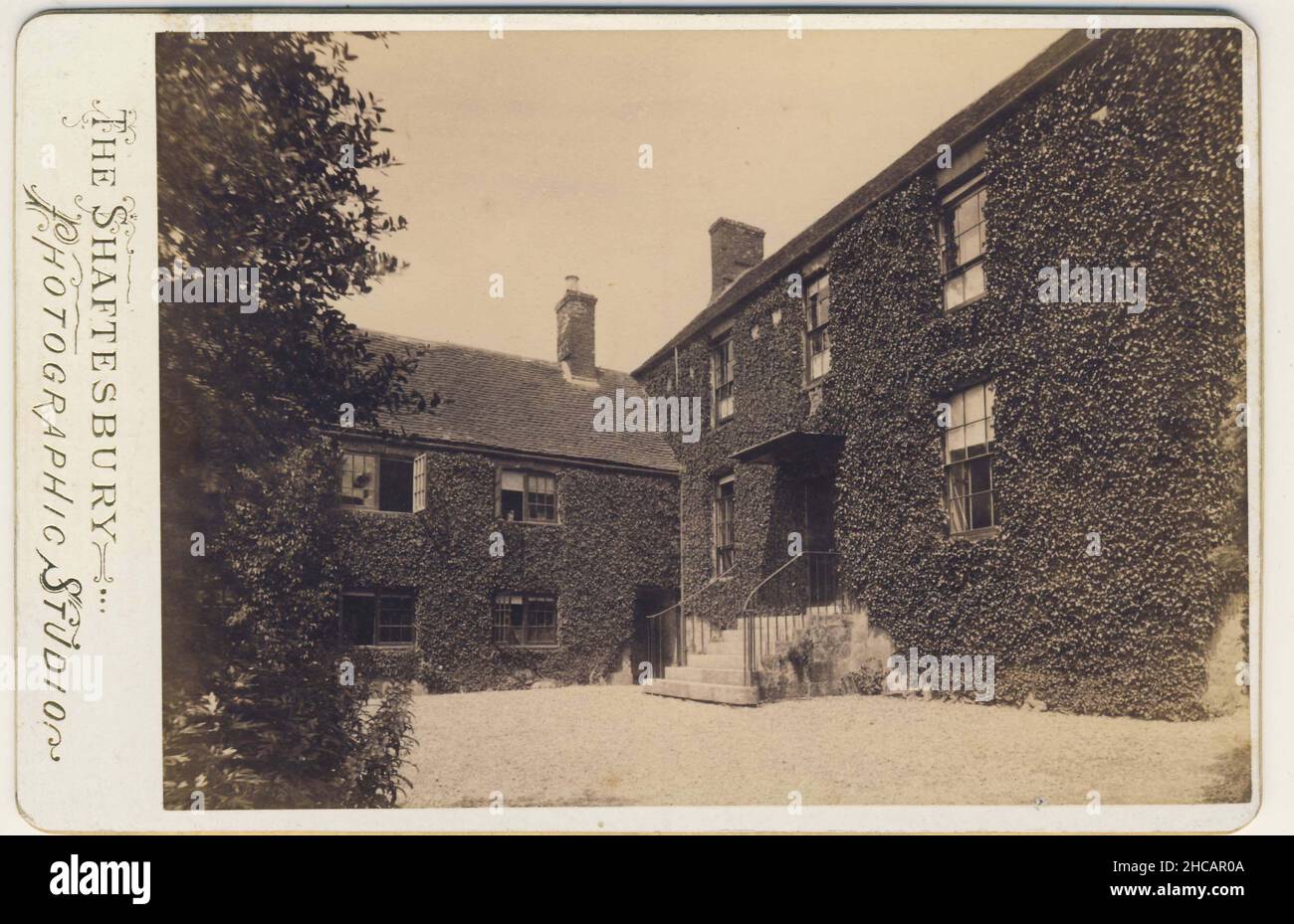 Vintage, retro, alt, Foto, Jahrhundert, Botanik, Grafik, antik ...