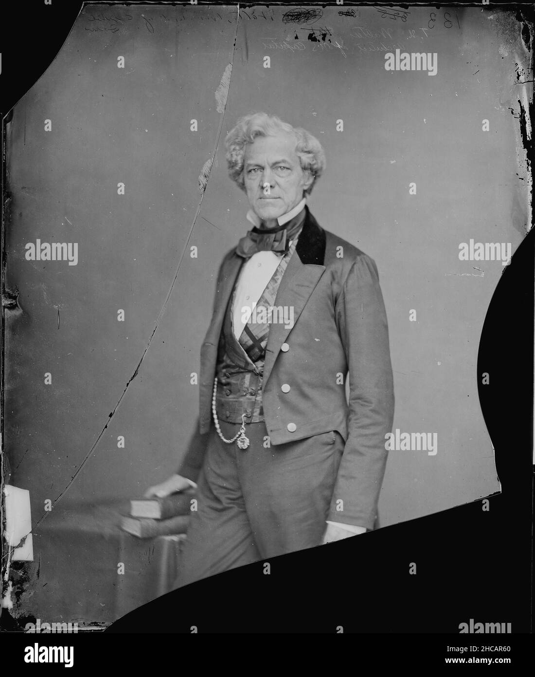 Vintage, retro, alt, Foto, Jahrhundert, Botanik, Grafik, antik ...