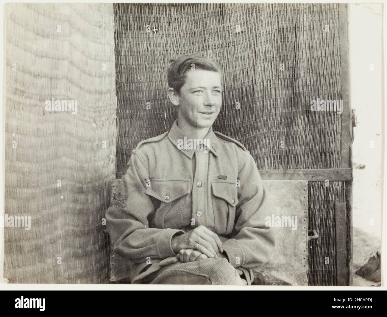 Vintage, retro, alt, Foto, Jahrhundert, Botanik, Grafik, antik ...