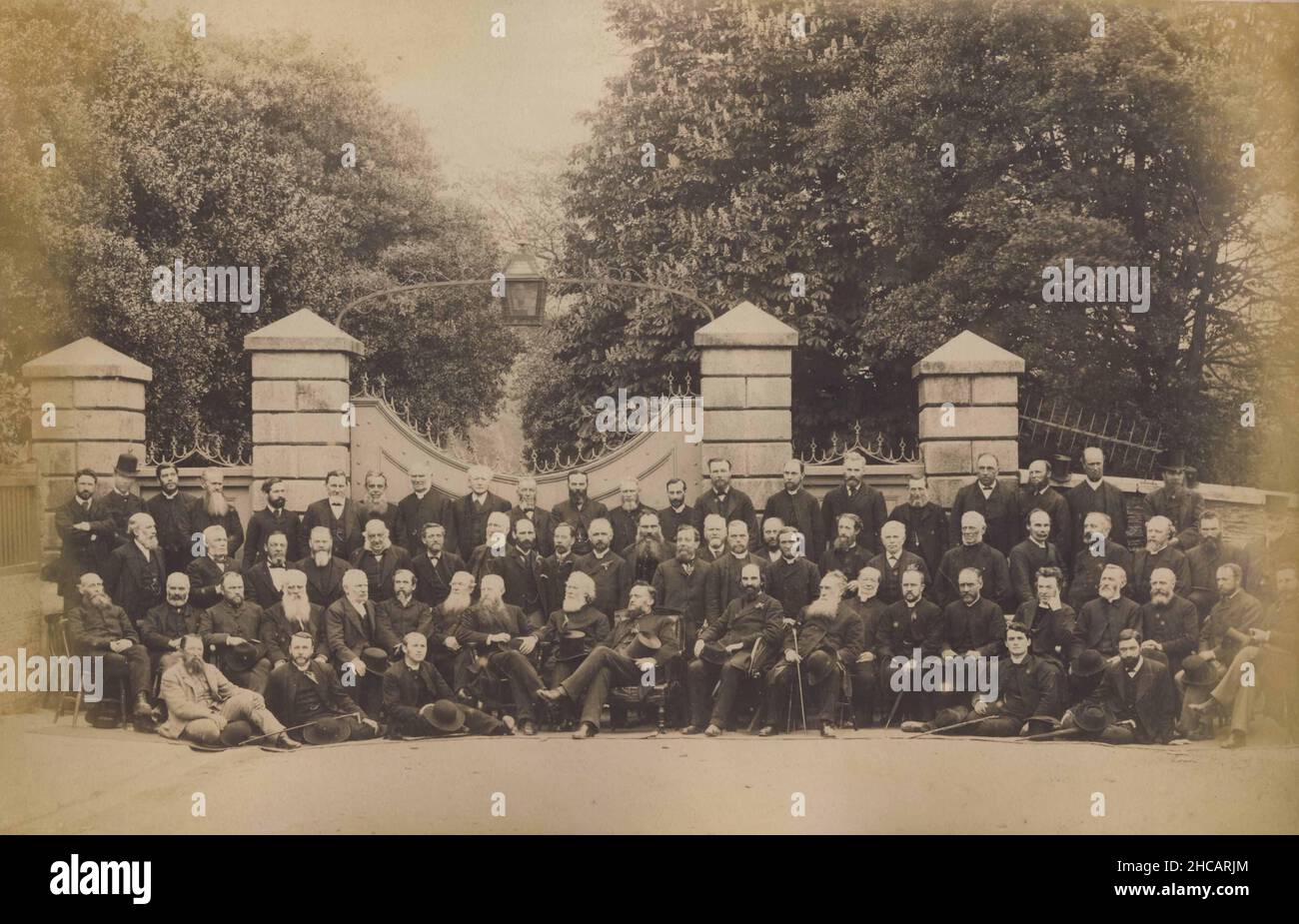 Vintage, retro, alt, Foto, Jahrhundert, Botanik, Grafik, antik ...