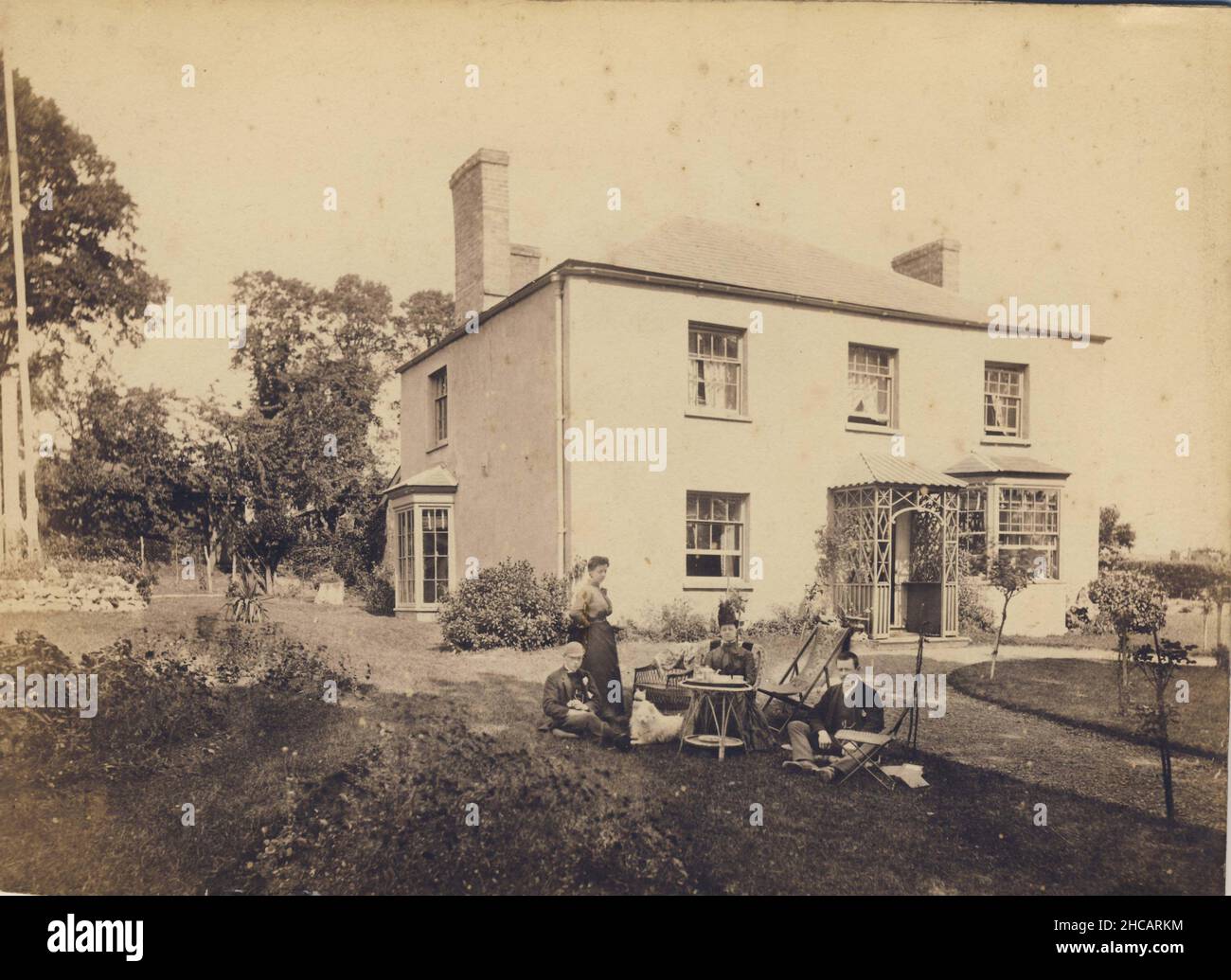 Vintage, retro, alt, Foto, Jahrhundert, Botanik, Grafik, antik ...