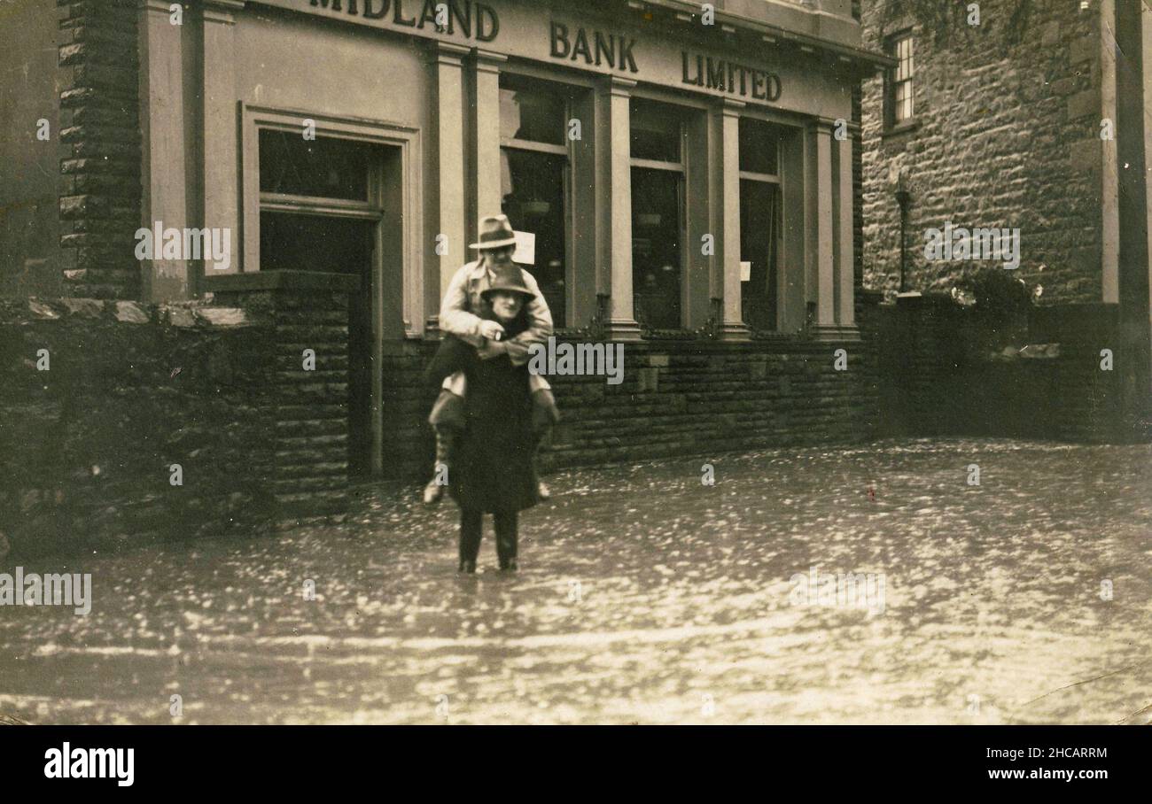 Vintage, retro, alt, Foto, Jahrhundert, Botanik, Grafik, antik ...