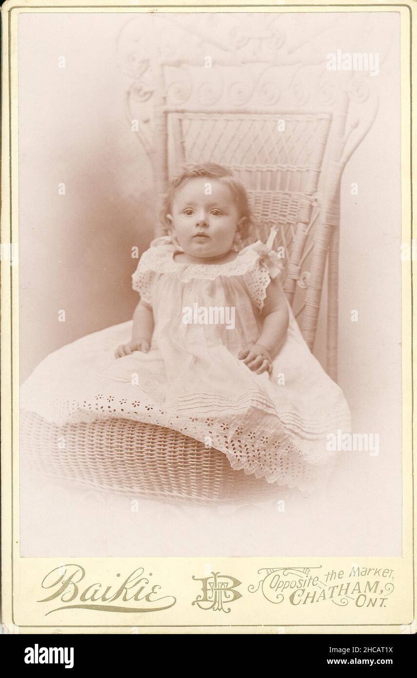 Vintage, retro, alt, Foto, Jahrhundert, Botanik, Grafik, antik ...