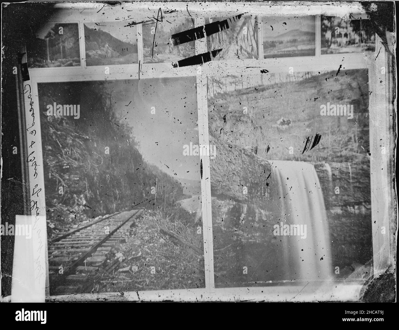 Vintage, retro, alt, Foto, Jahrhundert, Botanik, Grafik, antik ...