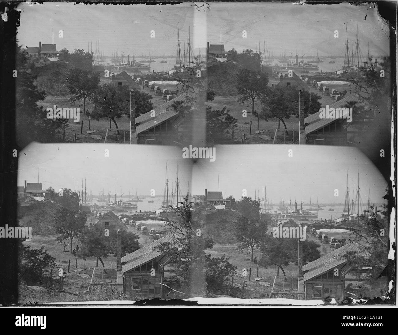 Vintage, retro, alt, Foto, Jahrhundert, Botanik, Grafik, antik ...