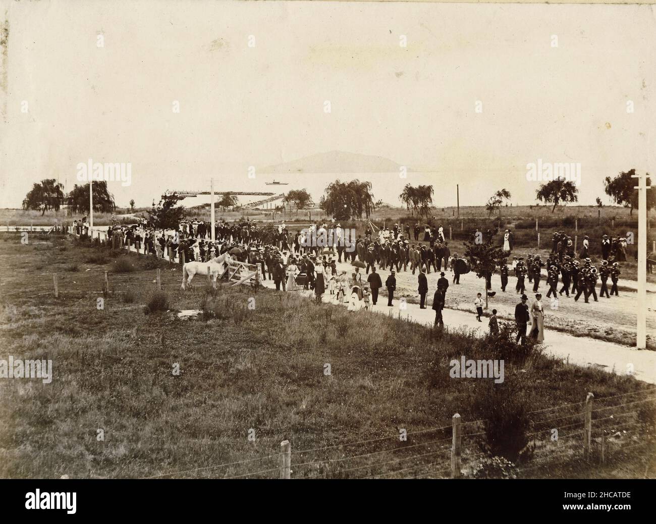 Vintage, retro, alt, Foto, Jahrhundert, Botanik, Grafik, antik ...