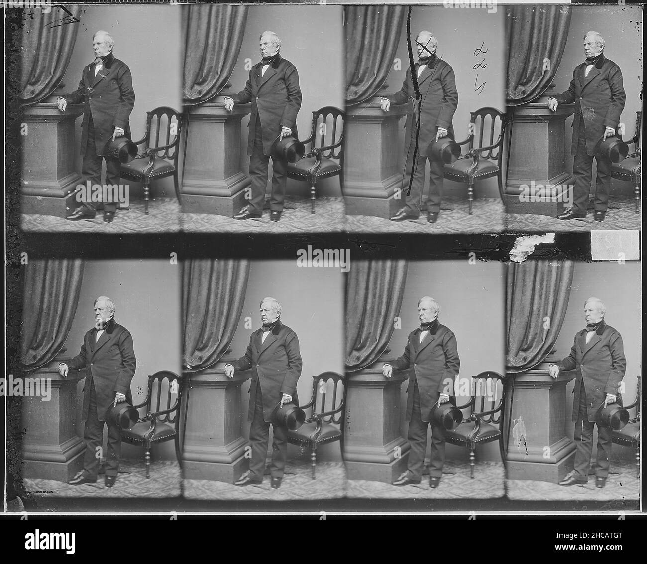 Vintage, retro, alt, Foto, Jahrhundert, Botanik, Grafik, antik ...