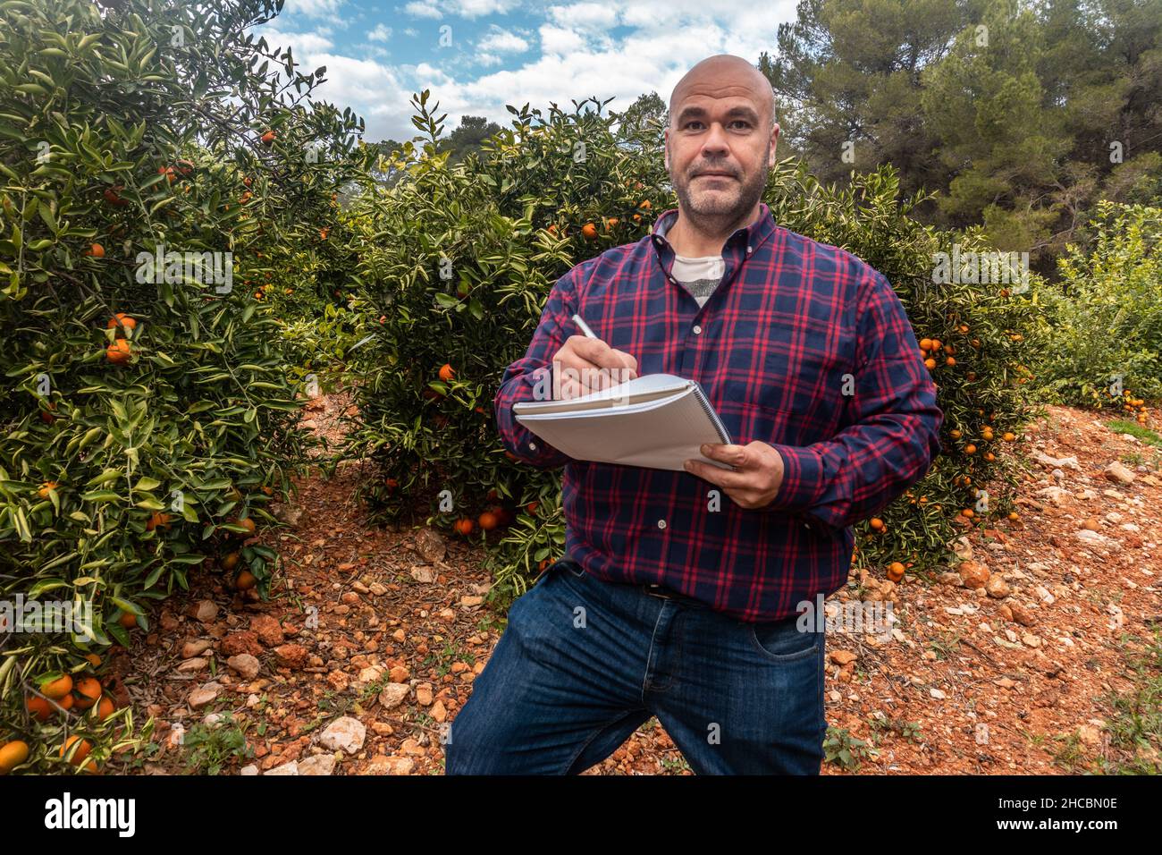 Landwirtschaftlicher agronom -Fotos und -Bildmaterial in hoher ...