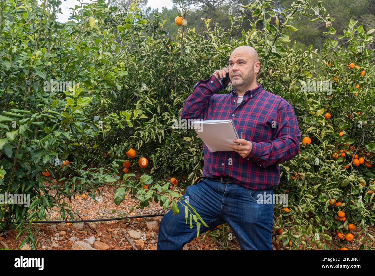 Landwirtschaftlicher agronom -Fotos und -Bildmaterial in hoher ...