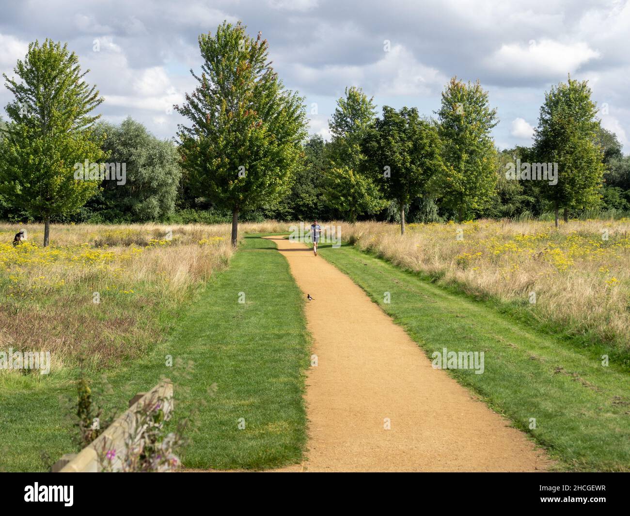 Foxfield country park -Fotos und -Bildmaterial in hoher Auflösung – Alamy