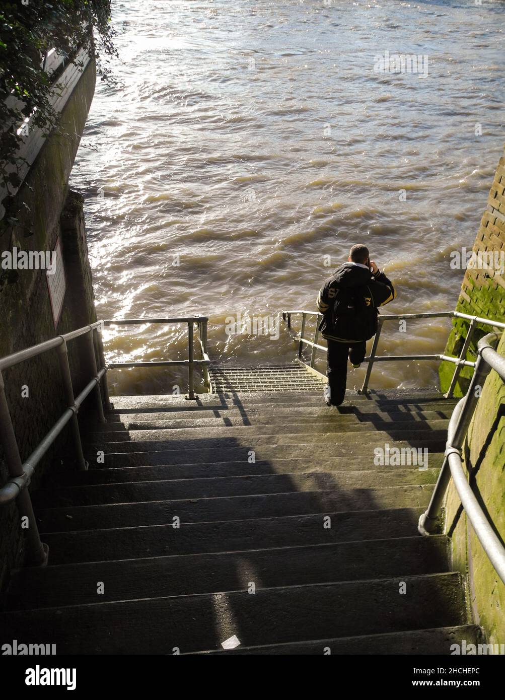 Cousine spur -Fotos und -Bildmaterial in hoher Auflösung – Alamy
