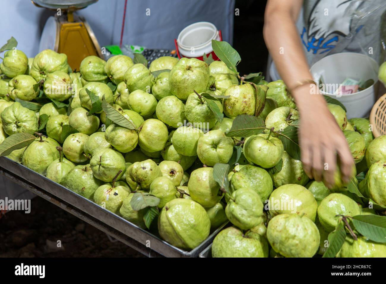 Gesunde Früchte zum Verkauf in Thailand. Guava ist eine Baumfrucht, die ...