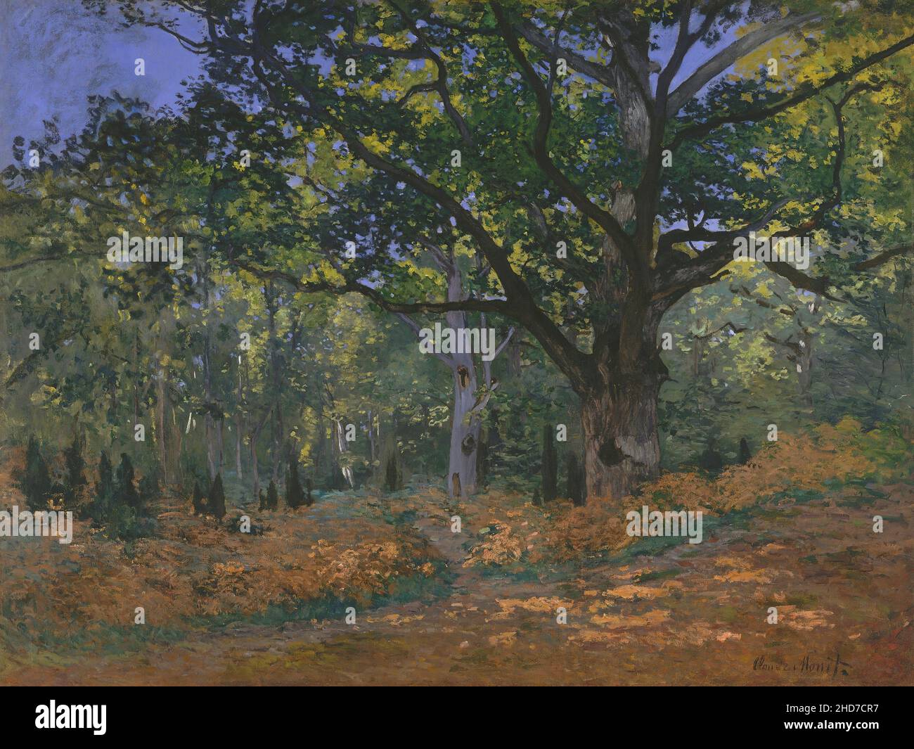 Fontainebleau wald 1865 traf museum new york -Fotos und -Bildmaterial ...