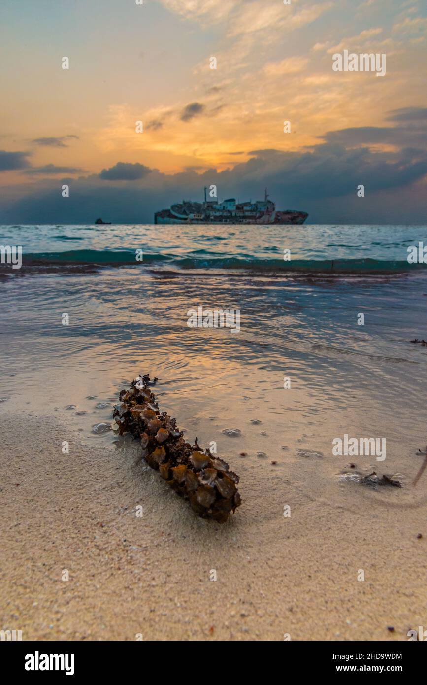 Jeddah strand -Fotos und -Bildmaterial in hoher Auflösung – Alamy