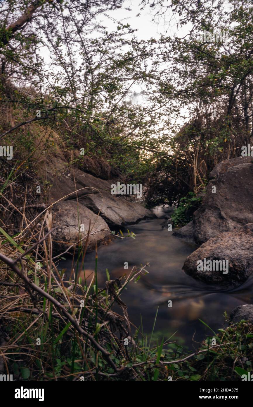 Bergiger Fluss mit Büschen und Bäumen um die Felsen herum ...