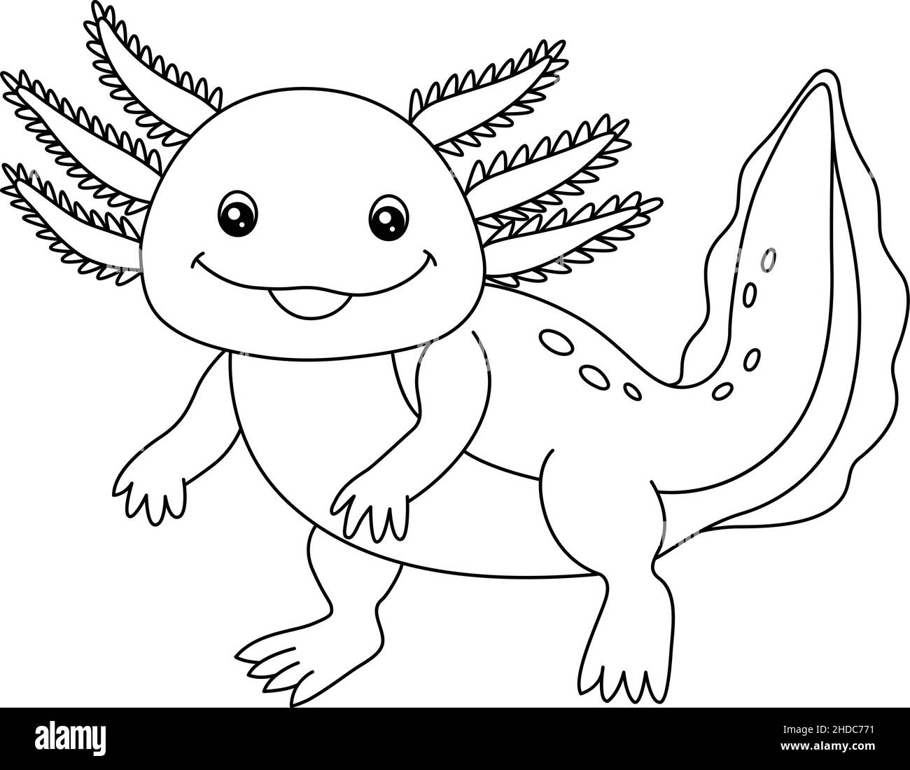 Axolotl mexico Schwarzweiß-Stockfotos und -bilder - Alamy