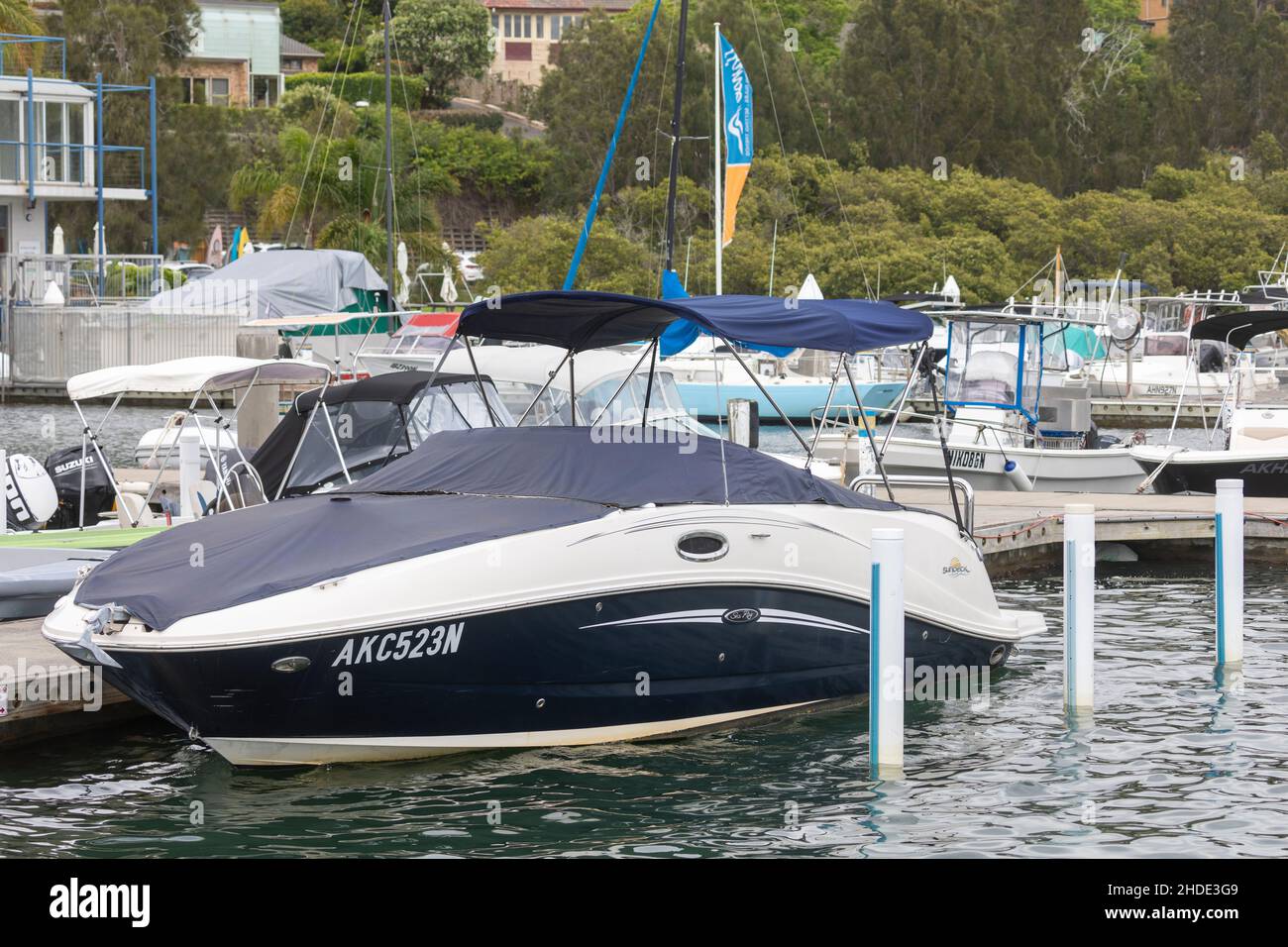 Sea ray sonnendeck -Fotos und -Bildmaterial in hoher Auflösung – Alamy