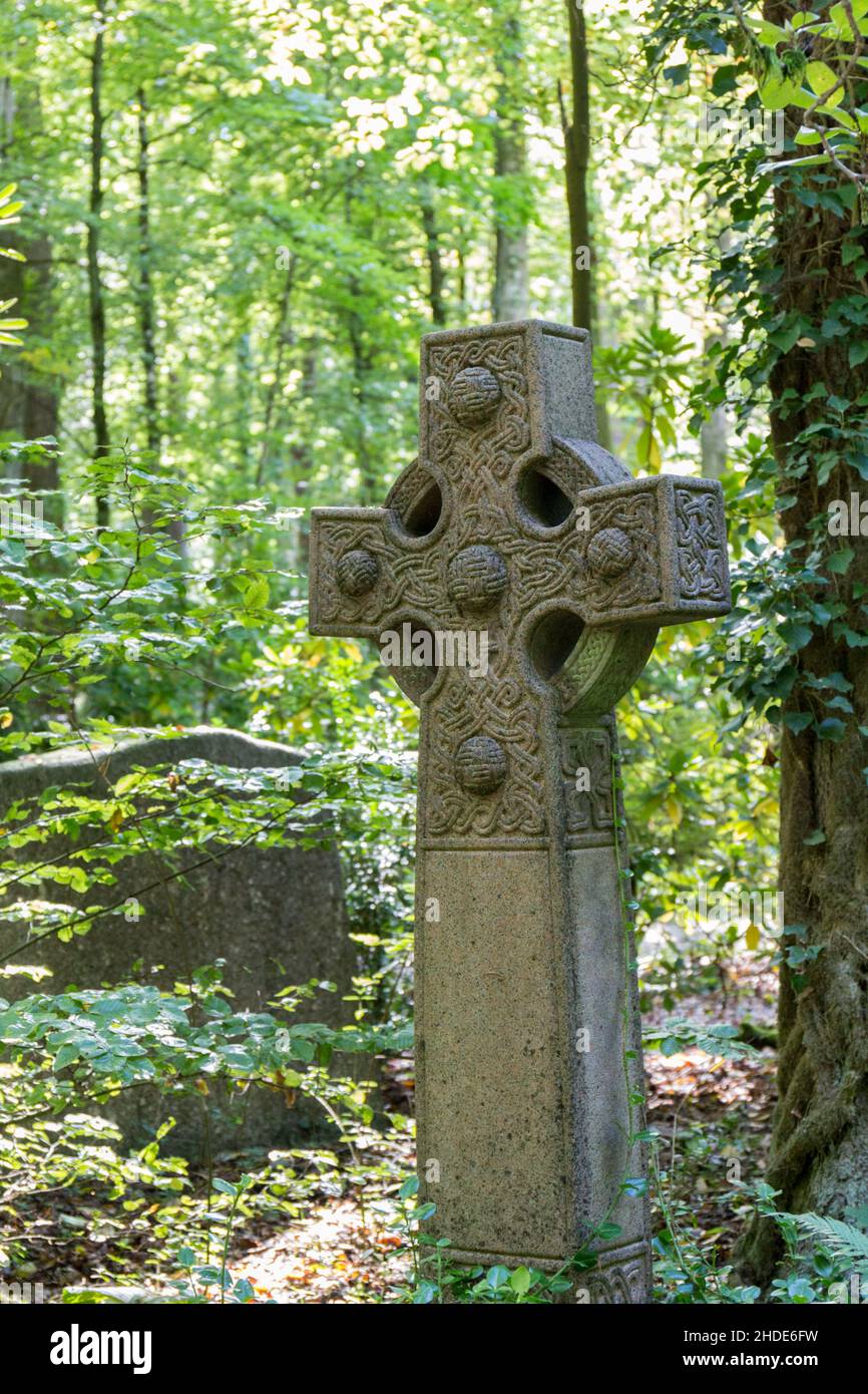 Keltischer knoten hintergrund -Fotos und -Bildmaterial in hoher Auflösung – Alamy