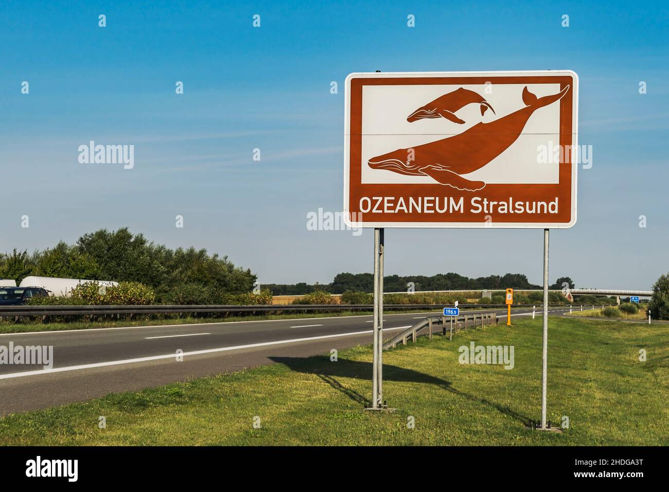 Sehenswürdigkeiten, Wale, ozeaneum, Sehenswürdigkeiten ...