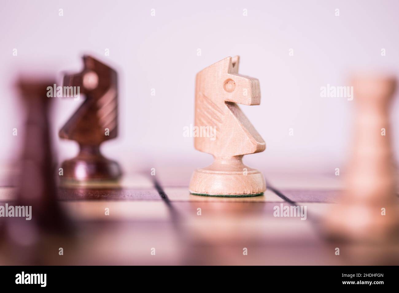 Pferd, Schach, Schachfiguren, Pferde, Schachfiguren Stockfotografie - Alamy