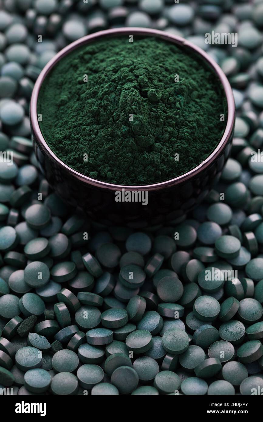 Micro algae -Fotos und -Bildmaterial in hoher Auflösung – Alamy